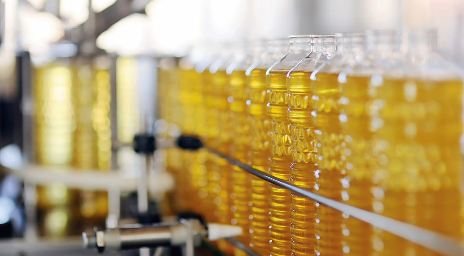 Crushing Blow: Bulgaria’s Oilseed Giants Battle a Perfect Storm ...