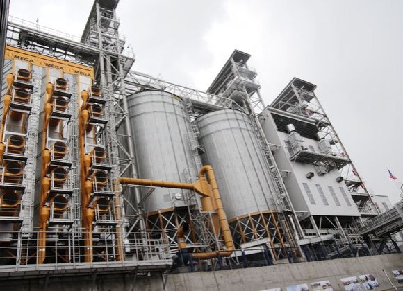 Bunge Mykolaiv crushing plant processed 1 mln t of sunflowerseeds in ...