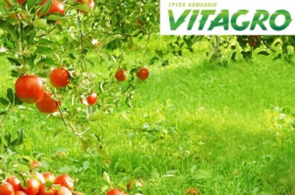 VITAGRO расширит производство фруктов — Latifundist.com