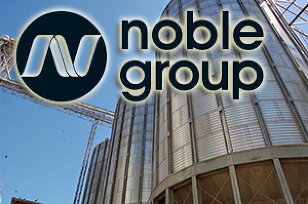 Гонконгская Noble Group построит зерновой терминал в Николаевском порту ...