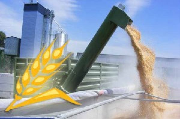 Южная Корея стала основным импортером зерновых из украинских морпортов ...