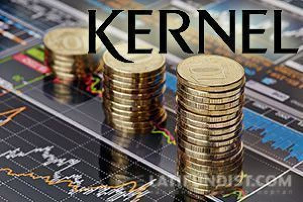 Кернел получит $95 млн кредита от IFC — Latifundist.com