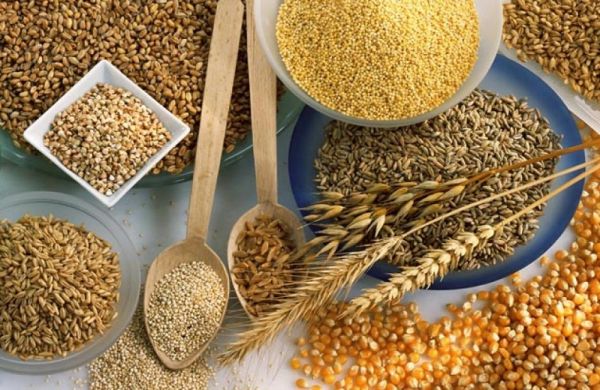 FAO Grain Price Index 8% higher in June — Latifundist.com