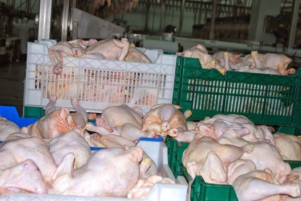 MHP boosted chicken meat exports by 52% in Q3 2018 — Latifundist.com