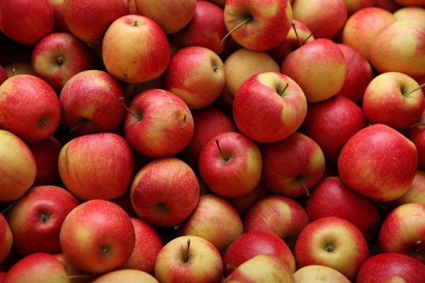 Export volumes of the Ukrainian fruit and berries up 40% — Latifundist.com