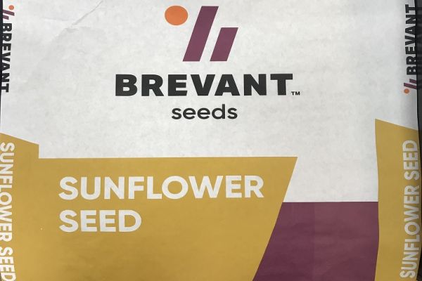 Corteva Agriscience™ внедряет новую технологию упаковки семян для ...