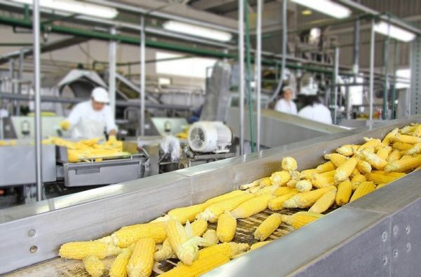 Cargill set to invest USD 100 mln in China corn facility — Latifundist.com
