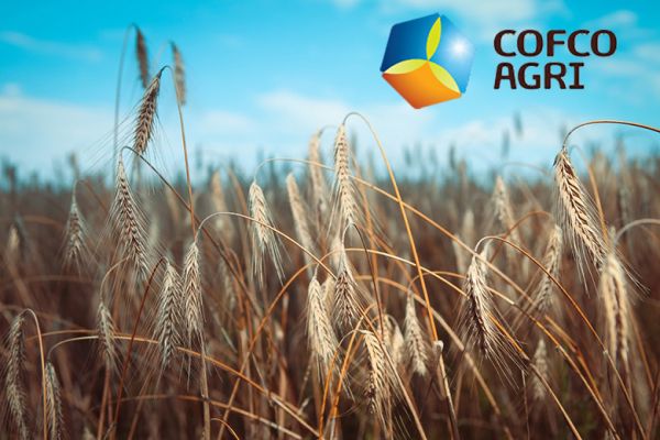 COFCO exported 3 million tons of agri commodities from Ukraine ...