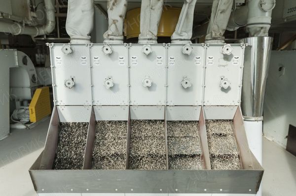 ViOil завершил переработку подсолнечника в 2018/19 МГ — Latifundist.com