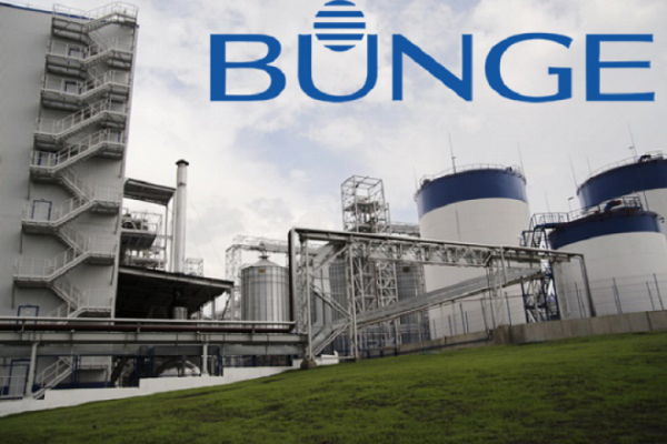 Bunge appointed new Vice President Ukraine, Black Sea & Russia ...