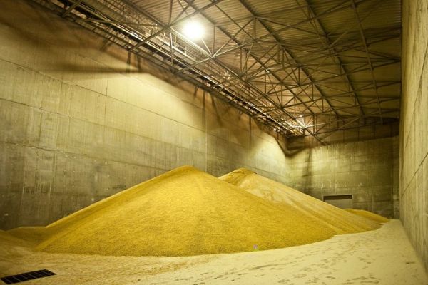 Grain export 2019/20: corn shipment crossed 1 million tons ...