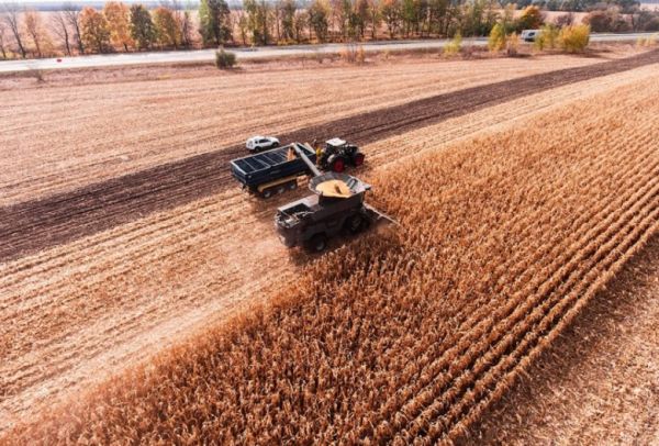 Harvest Online 2019: corn cropping 77 pct complete — Latifundist.com