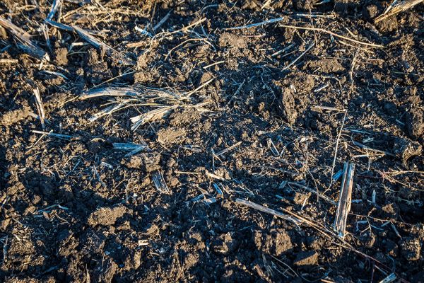 Ukrainian soils suffer from dewatering worst in ten years — Latifundist.com