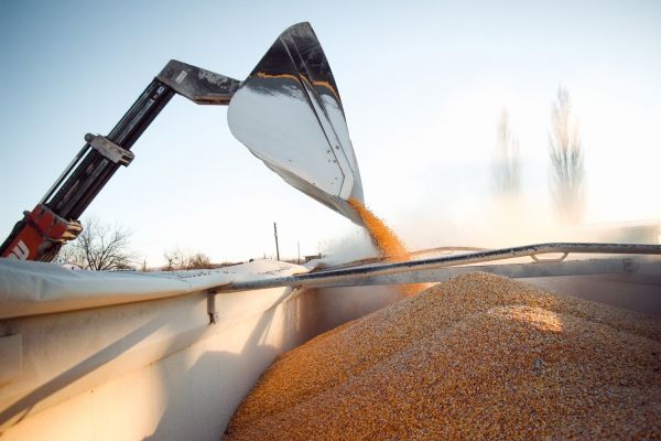 Chinese demand backstops Ukrainian corn export prices — experts ...