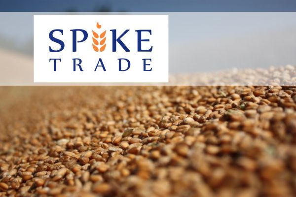 Spike Trade undergoing liquidation — Latifundist.com