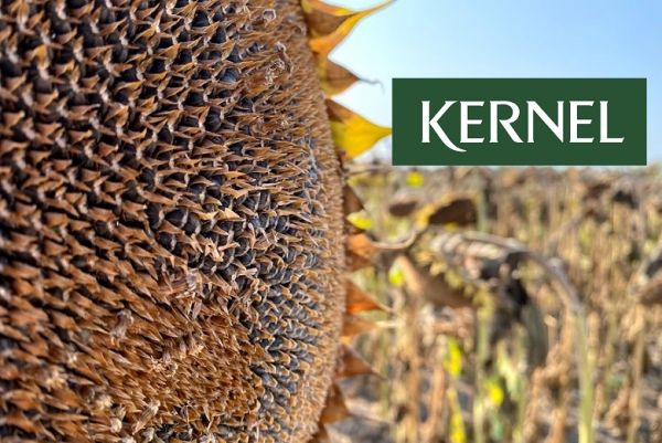 Адвокат Стадника рассказал о последствиях заморозки активов Kernel ...