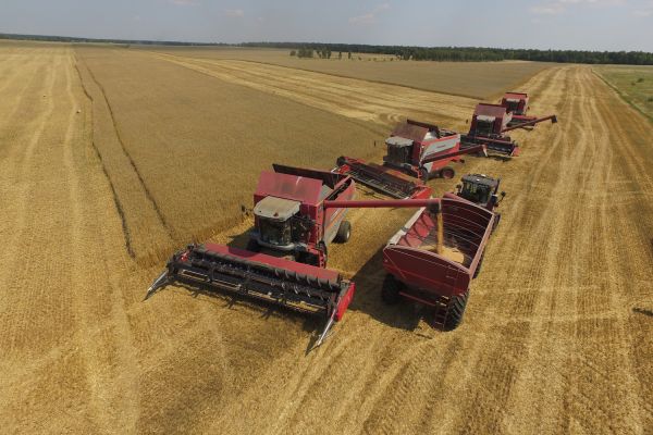 Agricom Group adopted new development strategy, over USD 20 mln of ...