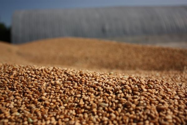 Kernel exported 10% less grain from Ukraine in Q4 FY2021 — Latifundist.com