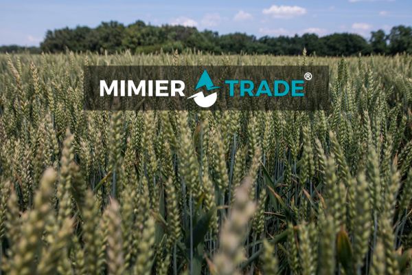 В MIMIER TRADE назвали основания для подозрений Ярослава Гордиенко в ...