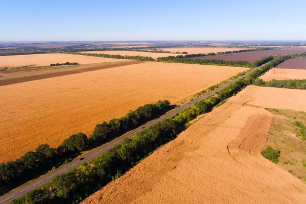 A Day in the Life of an Agroholding: Kernel — Latifundist.com