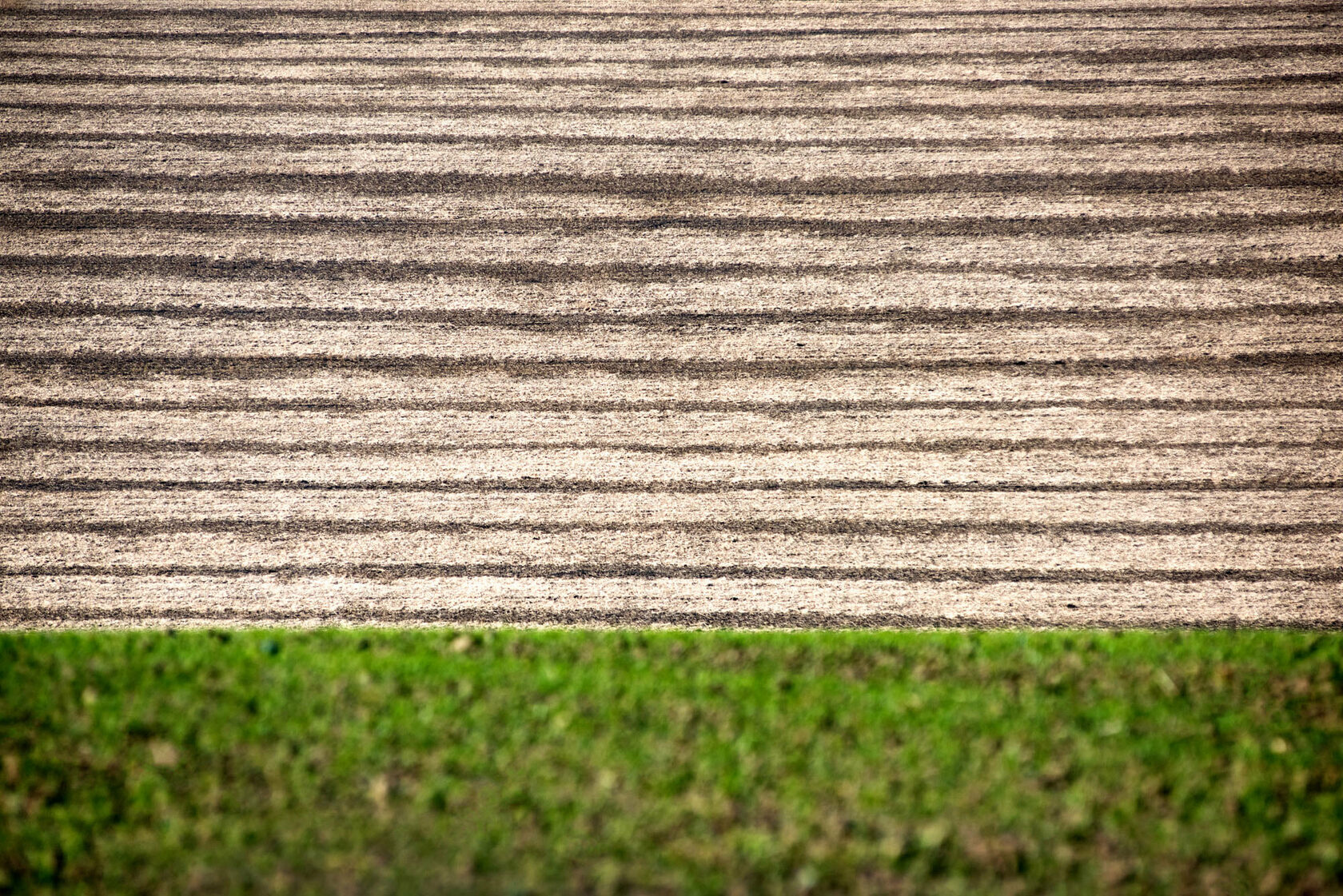 Through the Lens of a Photographer: Fields That Inspire — Latifundist.com